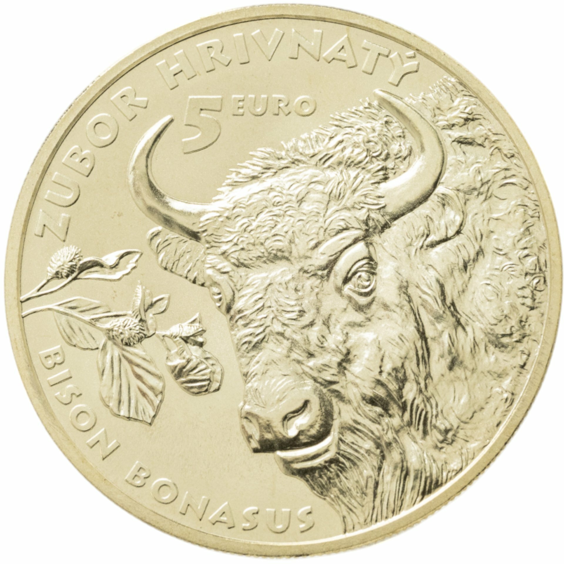 Словакия 5 евро 2024 "Зубр" в капсуле, Латунь, в сохранности UNC