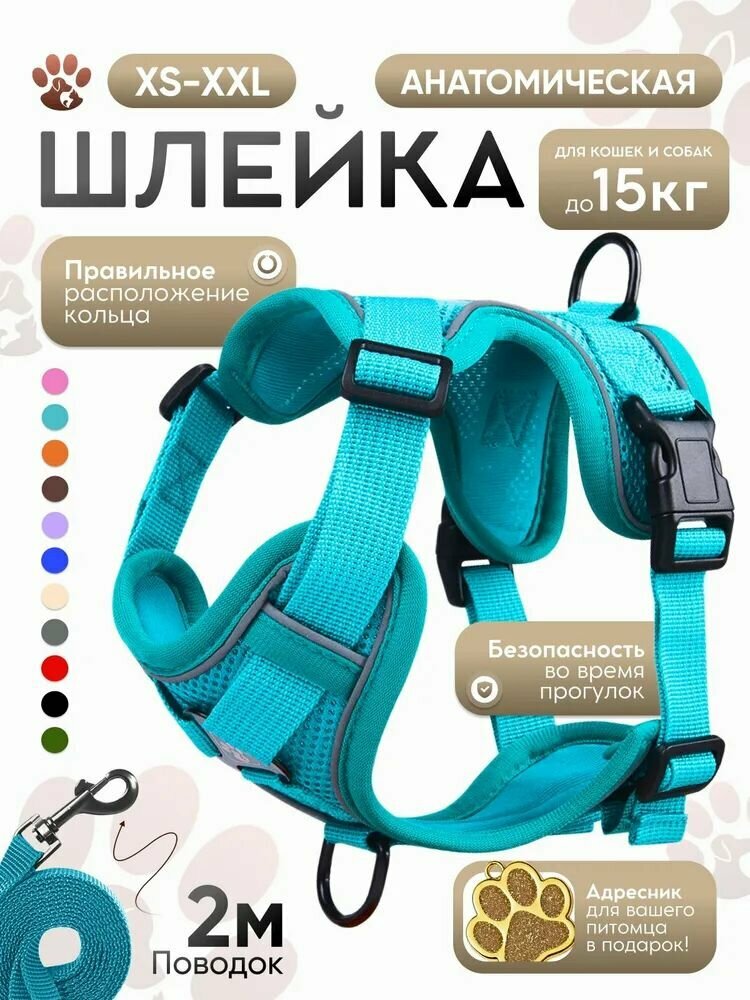 Шлейка для собак мелких пород анатомическая, с поводком 2 метра , размер S, цвет бирюзовый