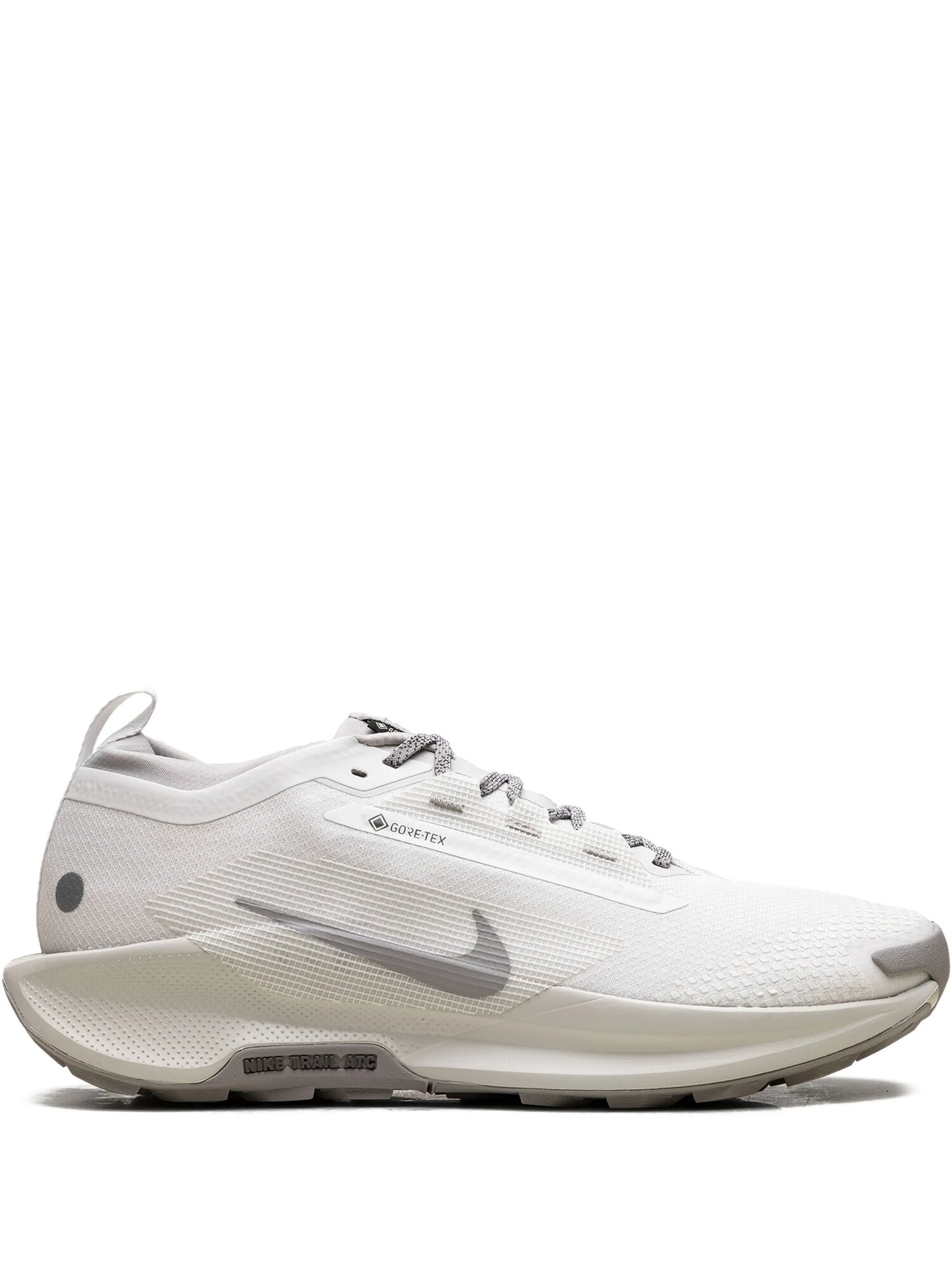 Кроссовки Pegasus Trail 5 Gore-Tex SP