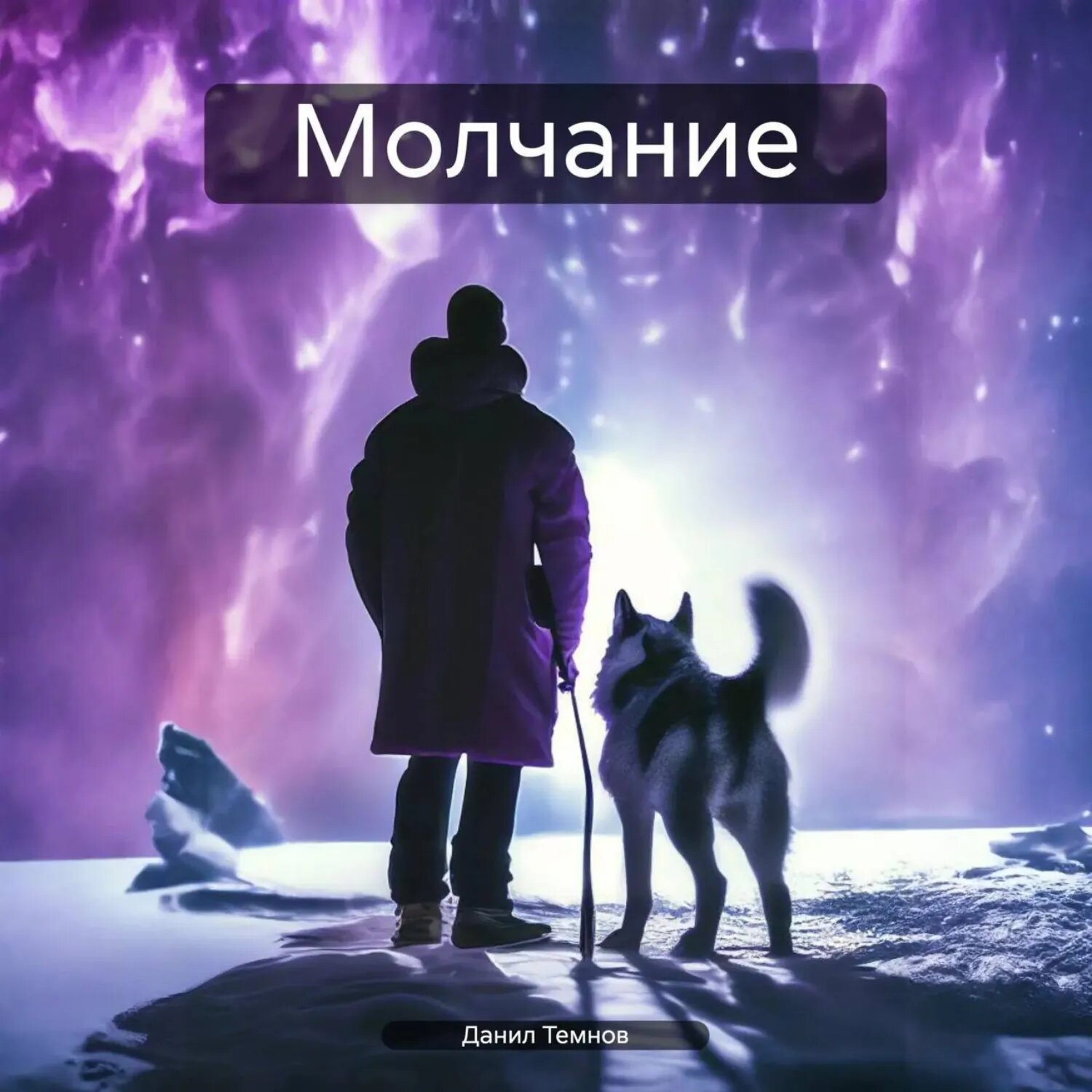Молчание [Аудиокнига]