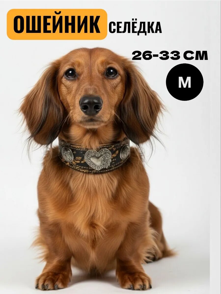 Dogbond ошейник-селедка для малых и средних пород