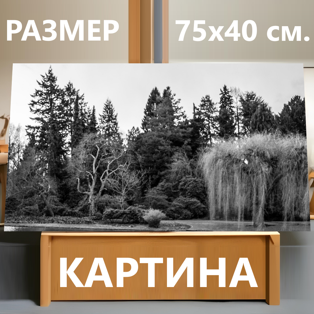 Картина на холсте "Черно-белый, пейзаж, деревья" на подрамнике 75х40 см. для интерьера
