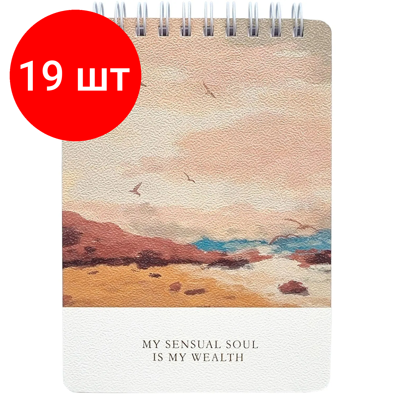 Комплект 19 штук, Блокнот 105x140 мм,100л. клетка, спираль сверху, Be Smart, View, N3328