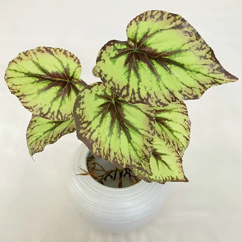 Искусственные растения Green Aloes: черепаха, бегония, бамбук