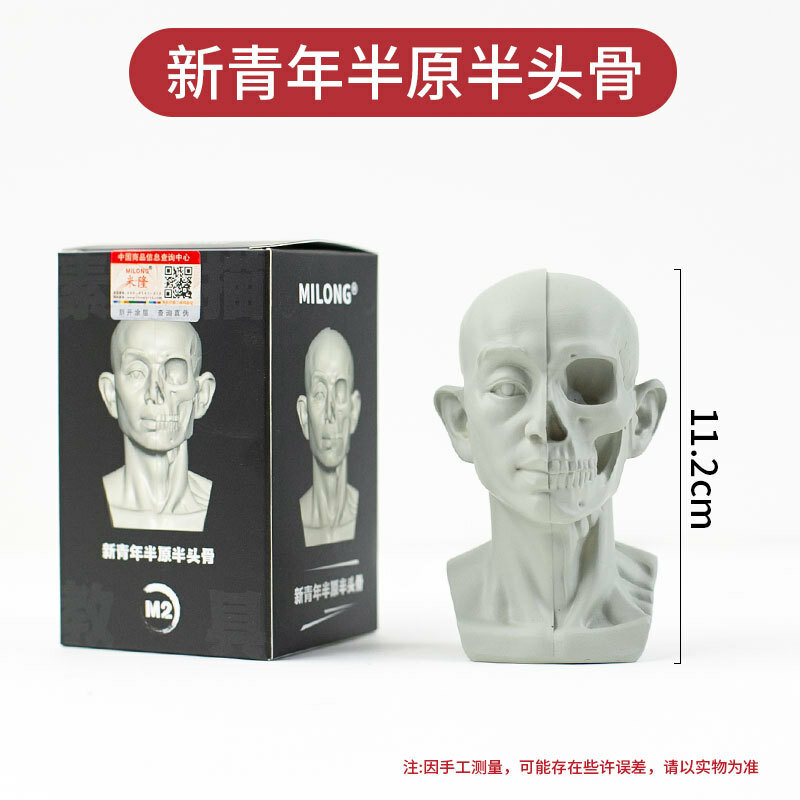 Модель головы Милонга, голова Тэо, гипсовая модель головы, учебное пособие, реалистичная голова, мини-версия, гипсовая модель для эскизов