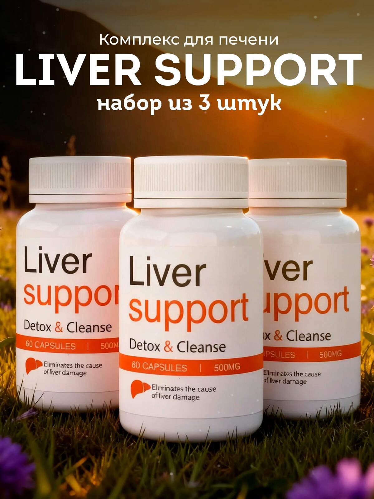 Пищевая добавка на растительной основе Liver Support, натуральный состав, 60 капсул