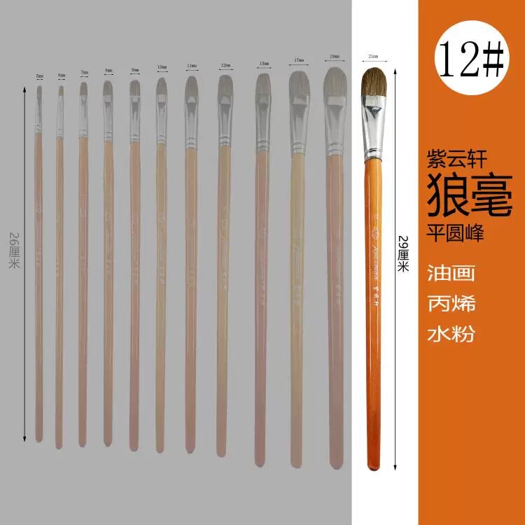 Ziyunxuan Плоская круглая масляная живопись, акрил, гуашь, 12 штук, деревянная ручка, одиночный набор, искусство для студентов, специальное ручное рисование