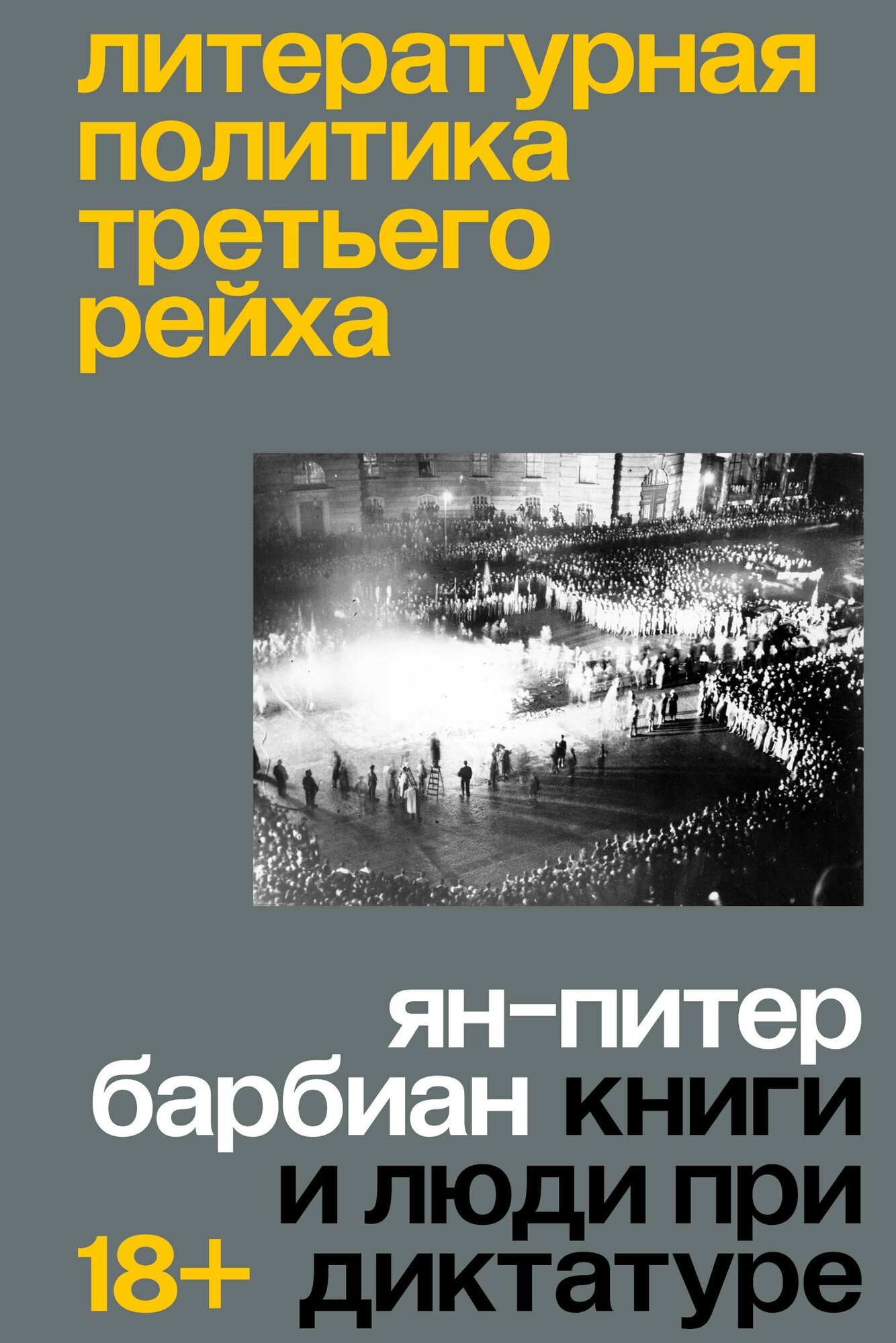 Литературная политика Третьего рейха. Книги и люди при диктатуре (Ян-Питер Барбиэн)