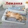 Лежак для животных