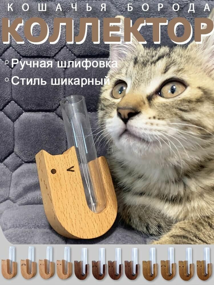 Прозрачная Стеклянная Ваза для Кошачьих Усов
