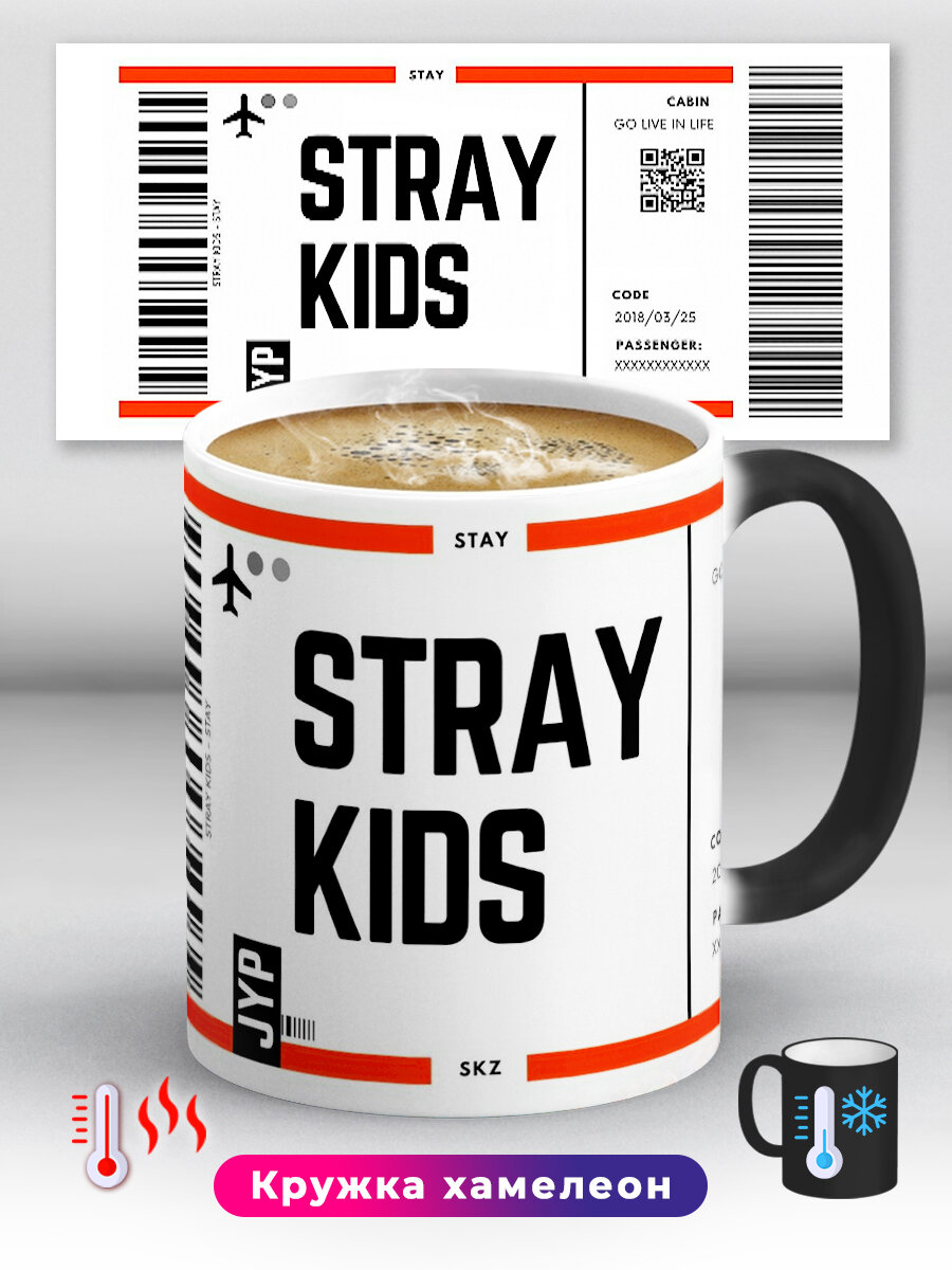 Кружка хамелеон Stray Kids K-POP