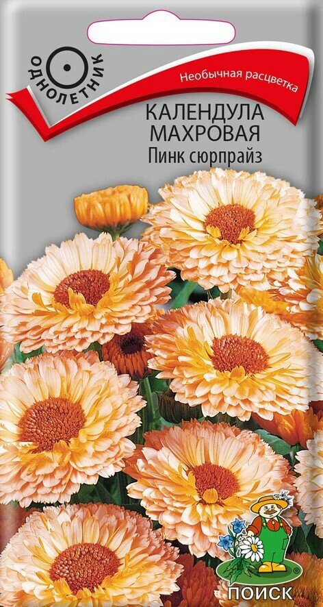 Семена цветов Поиск календула махровая Пинк Сюрпрайз, для дачи, сада, огорода и на рассаду