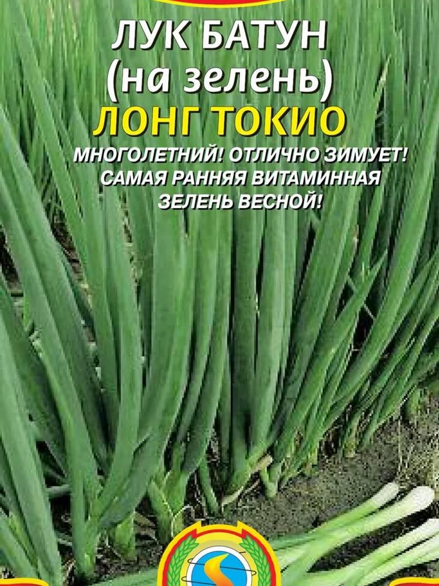 Лук Батун Лонг Токио 0,4 г, Плазменные семена