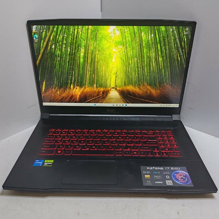 Ноутбук MSI Katana 17 B12UCR-821XRU
