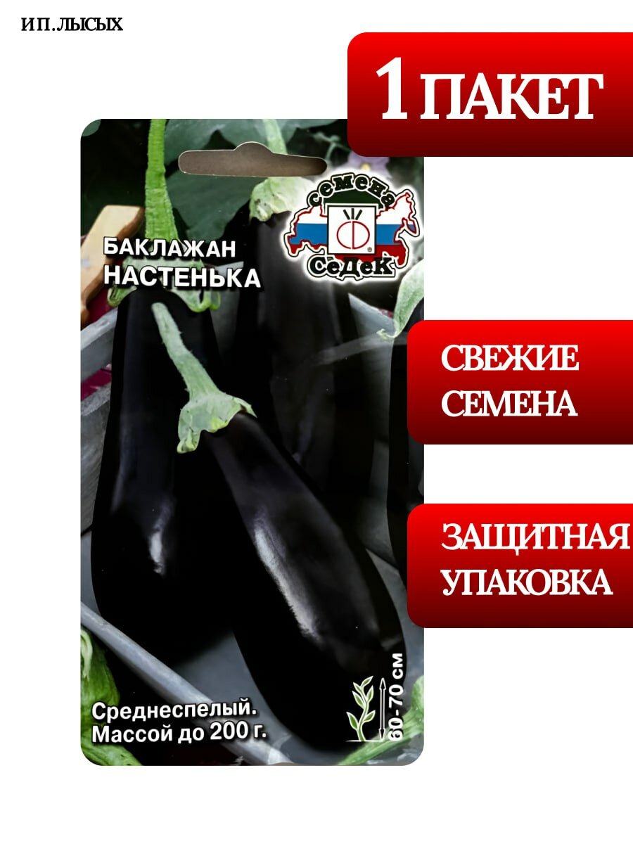 Семена Баклажан "Настенька"