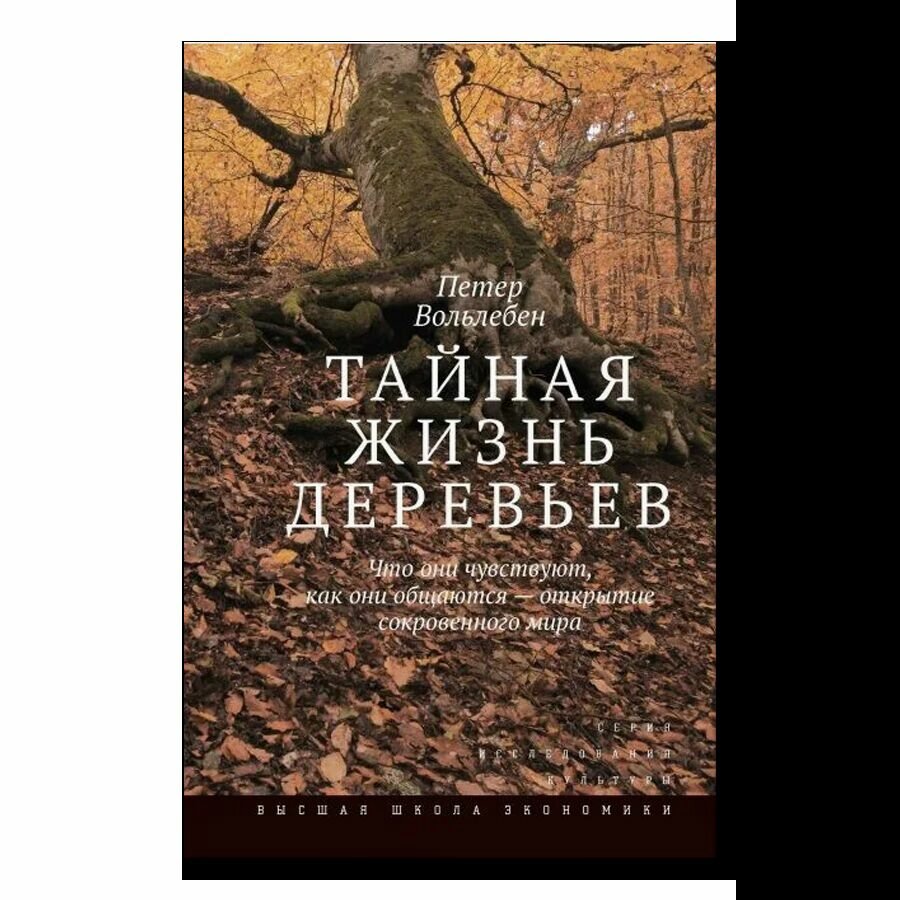 Тайная жизнь деревьев