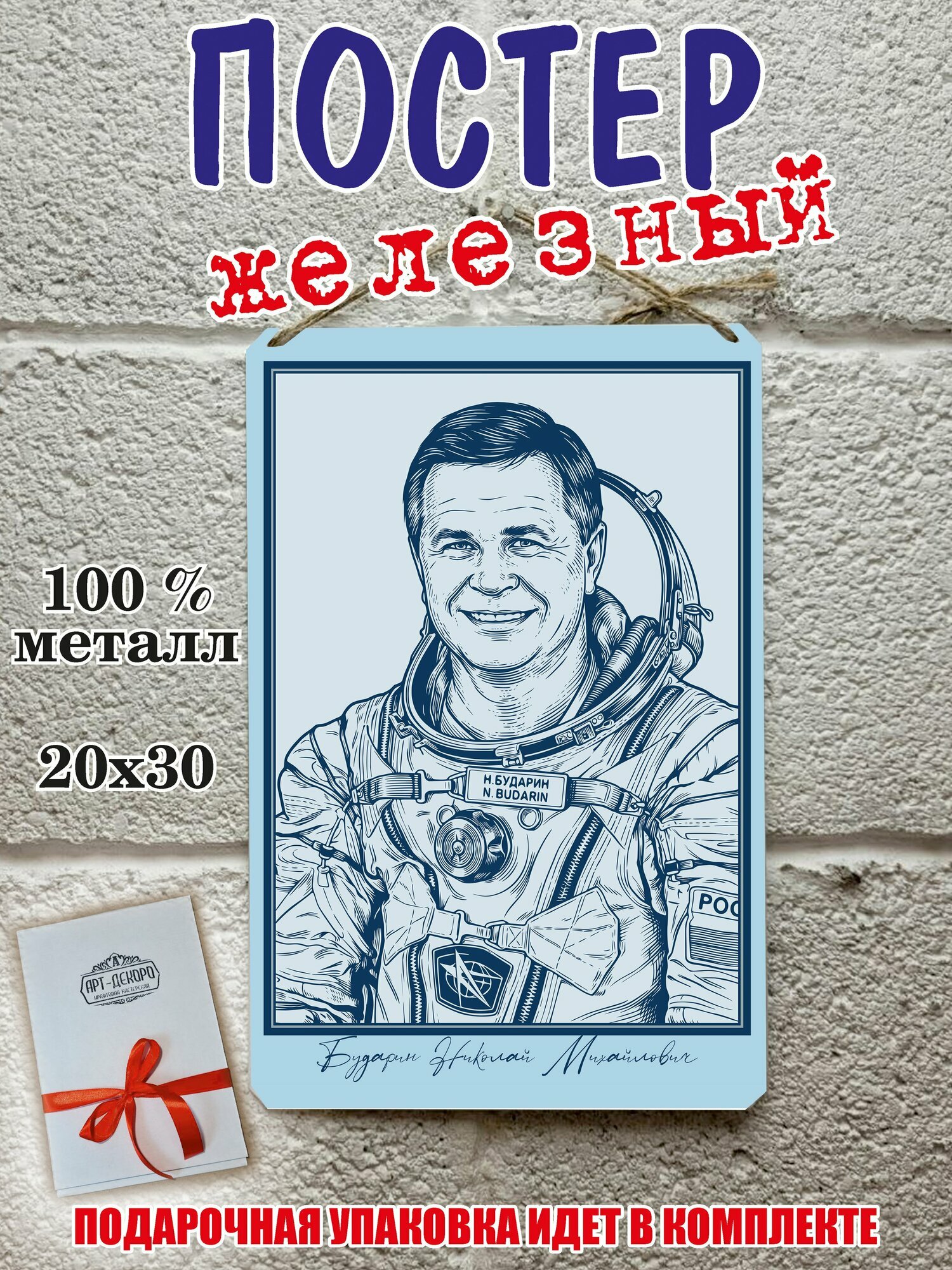 Бударин Николай портрет железный постер на стену
