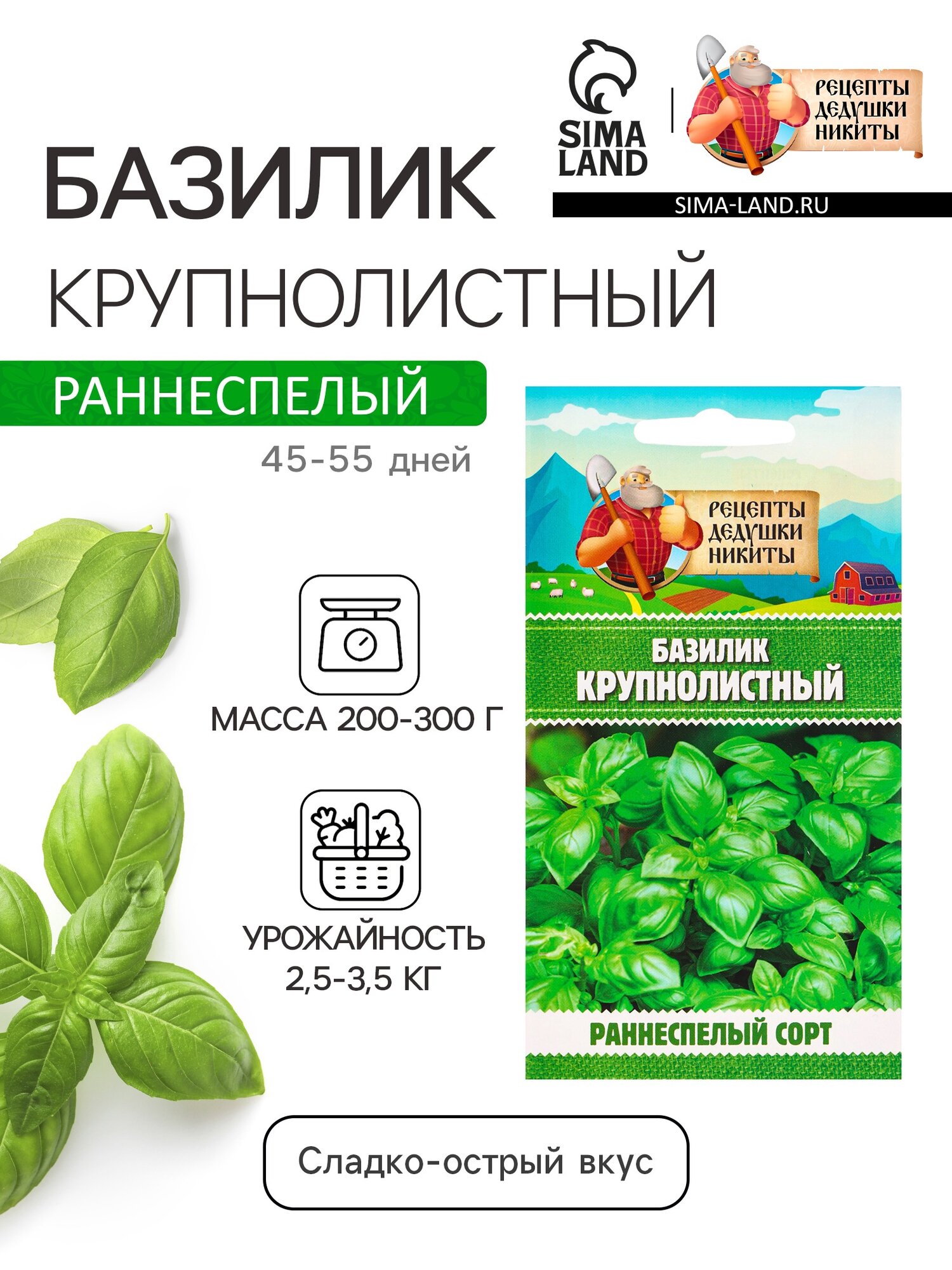Базилик «Крупнолистный», семена, 0.2 г, «Рецепты дедушки Никиты»