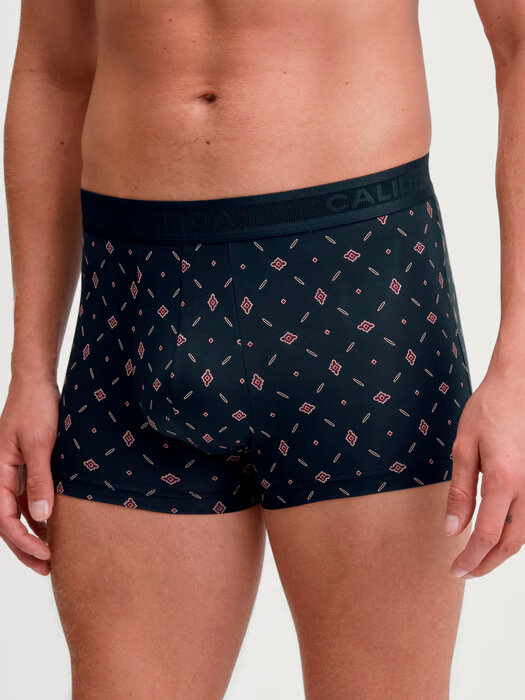 Трусы Swiss Cotton Select