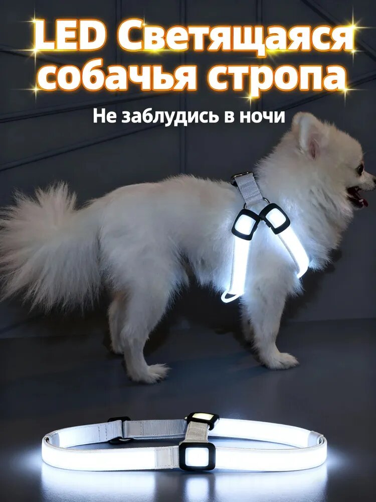 Жилет-шлейка с LED подсветкой: Светящийся водонепроницаемый жилет для средних и крупных собак с 3 режимами свечения