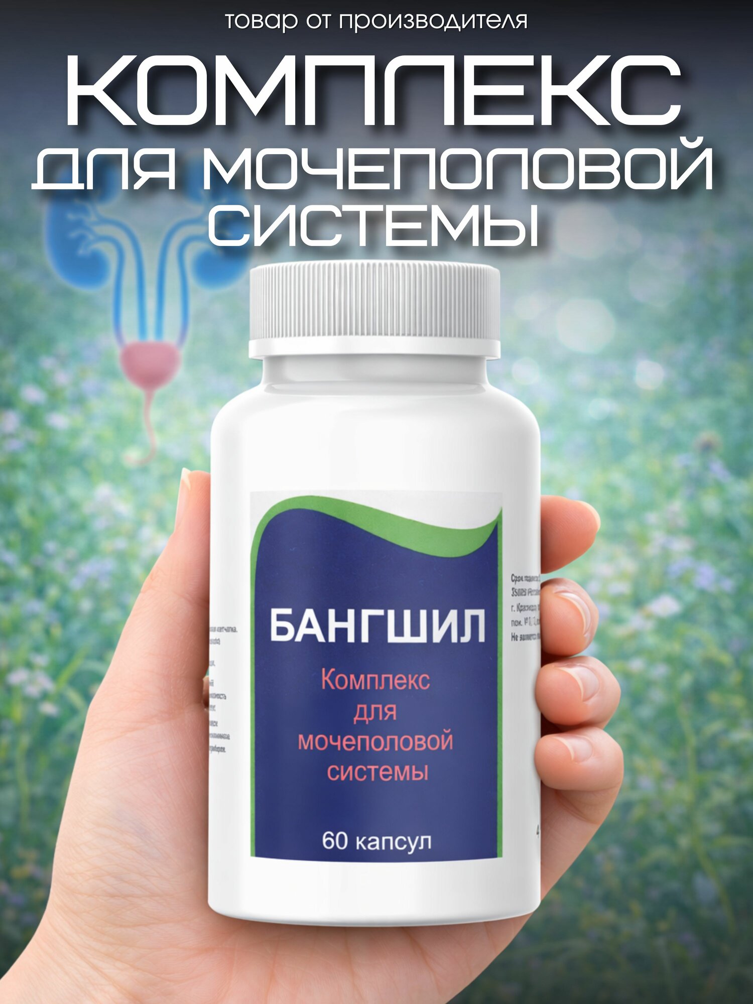 Пищевая добавка на растительной основе Бангшил, натуральный состав, 60 капсул