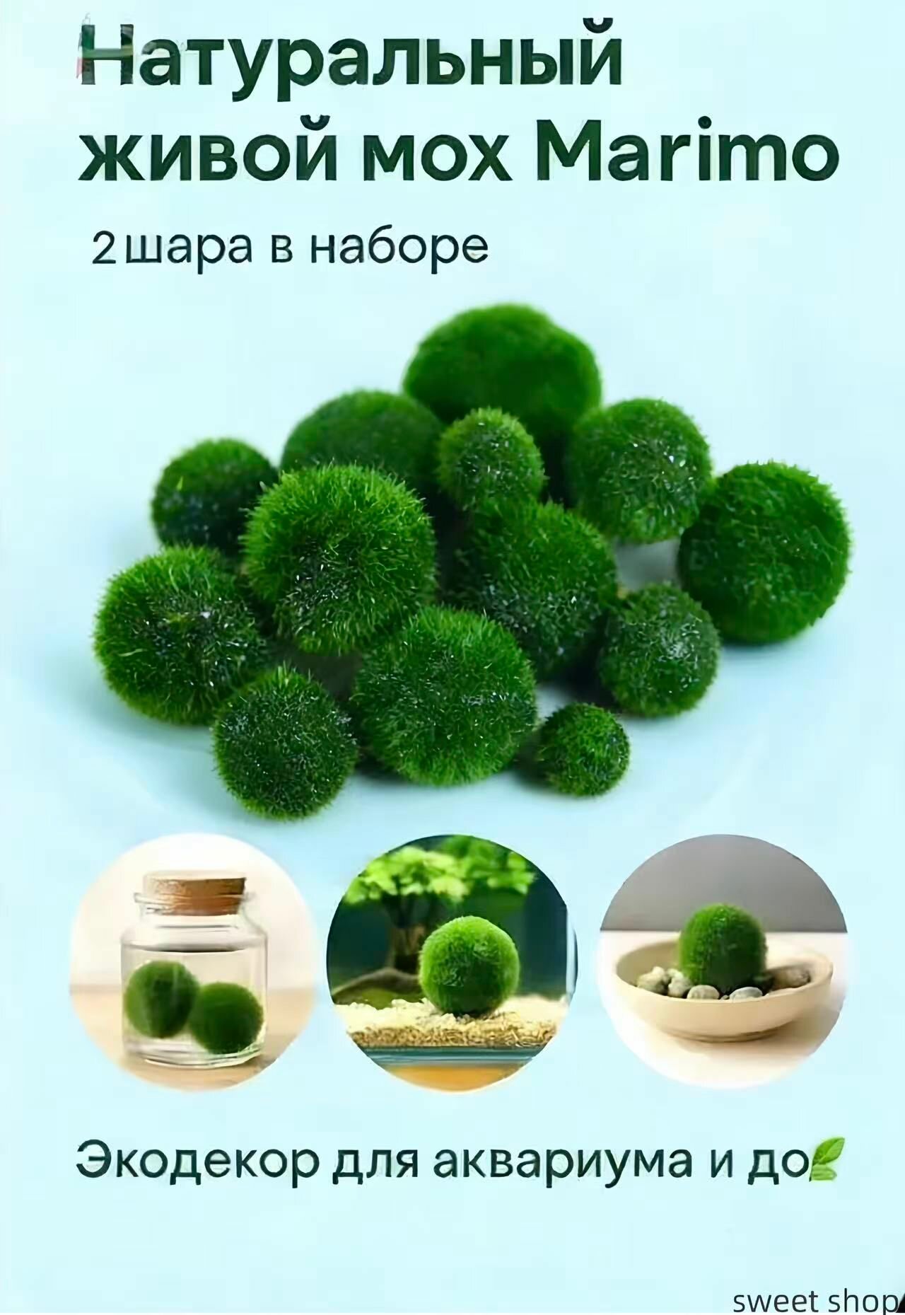 Шаровидная кладофора (мох маримо) 1см 2шт для аквариума и декора
