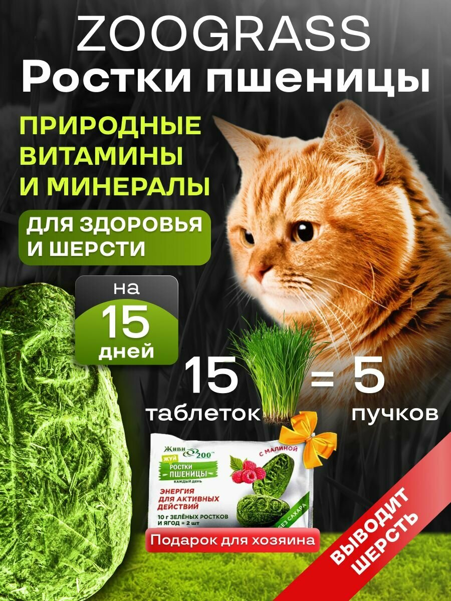 Витамины для кошек для шерсти