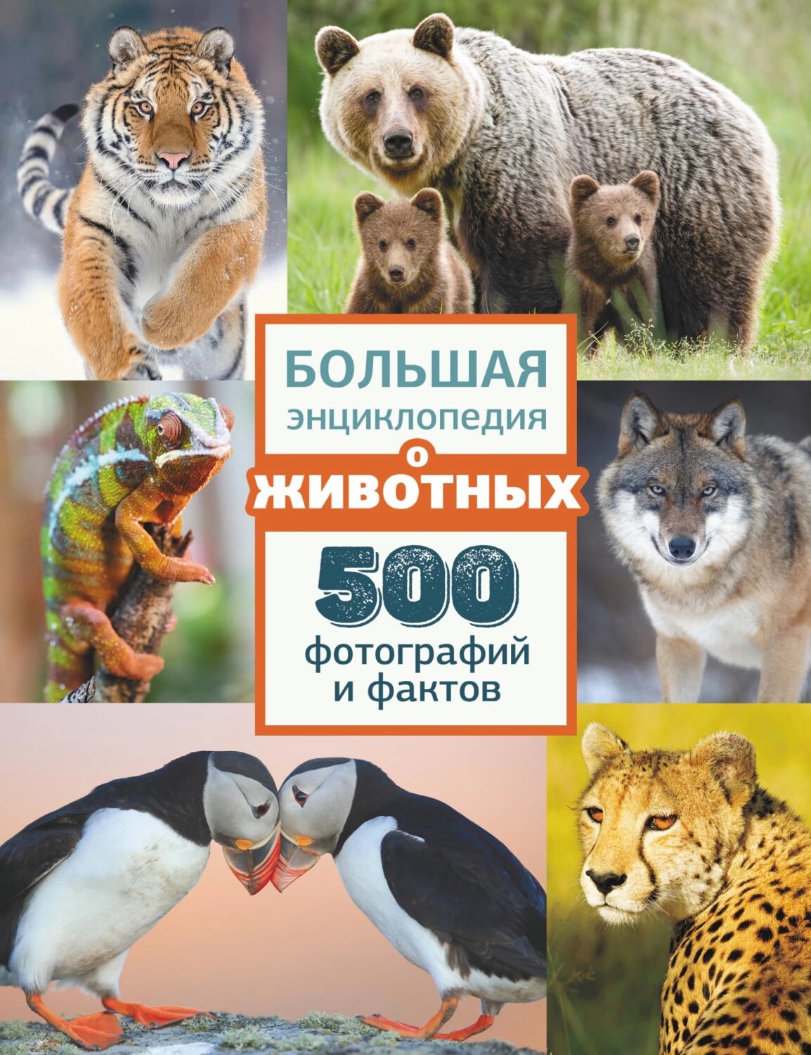 Большая энциклопедия о животных. 500 фотографий и фактов [Цифровая книга]