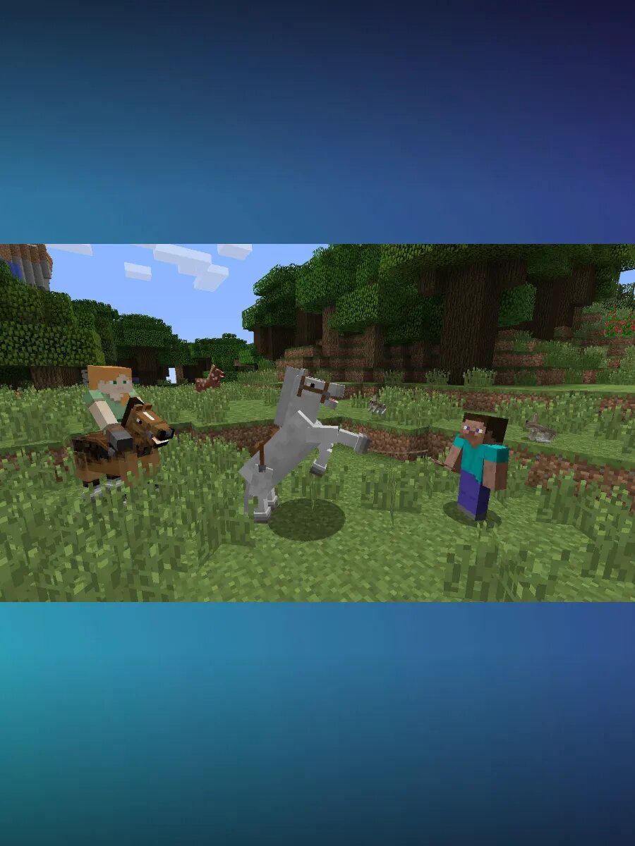 (PS4) Minecraft — фото 1