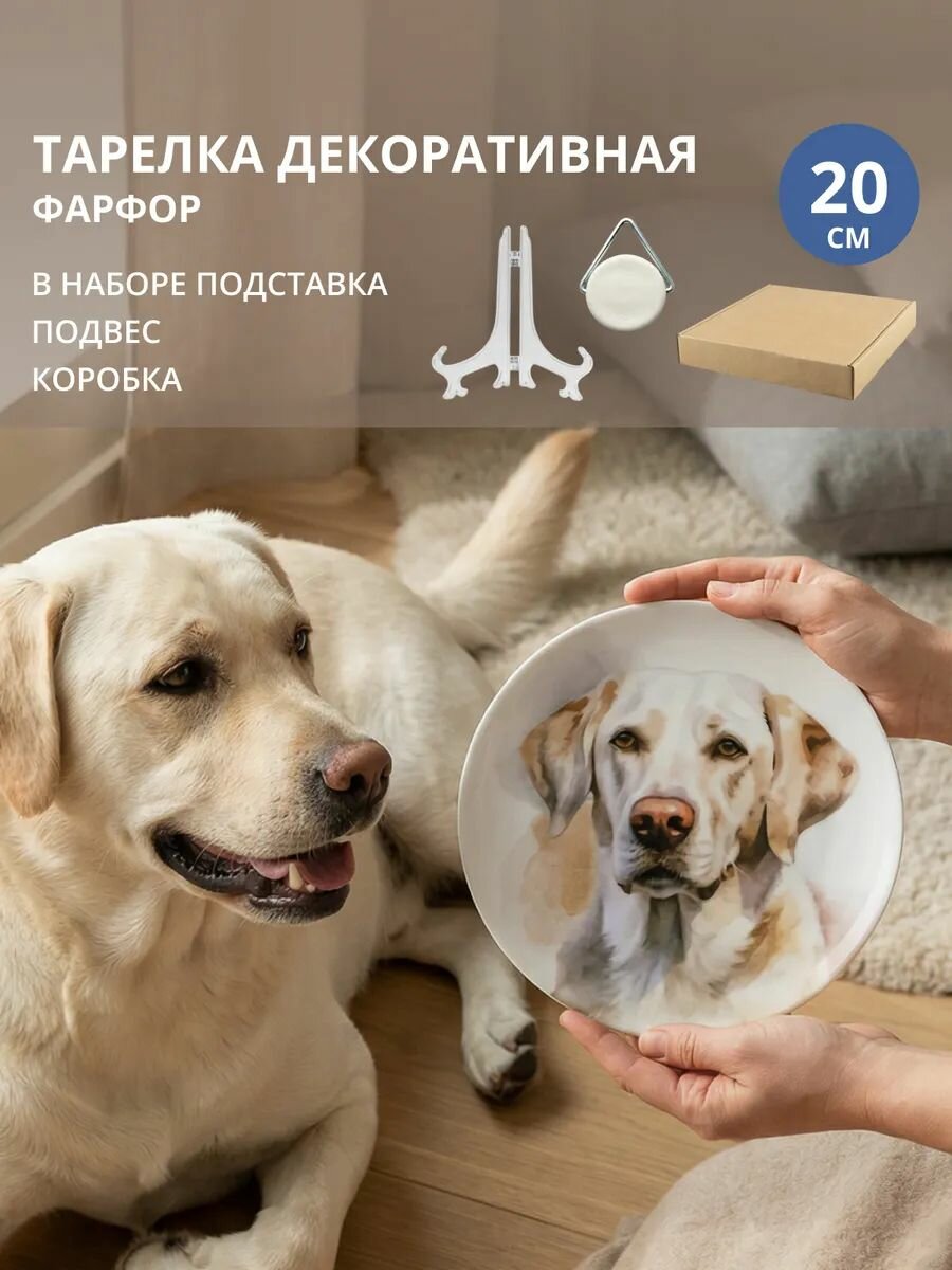 Тарелка декоративная фарфоровая 20 см Добрушский фарфор Арчи