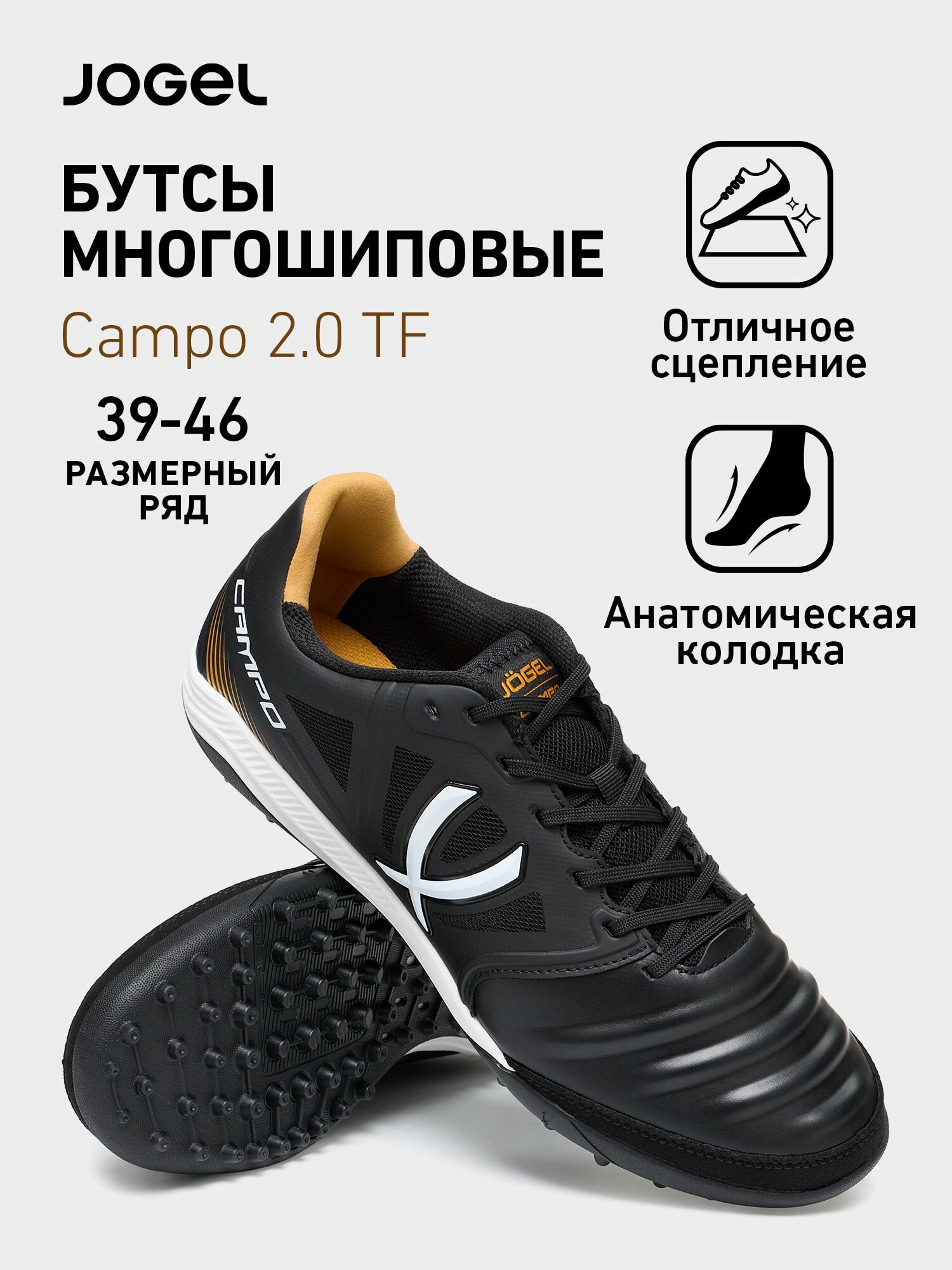 Сороконожки