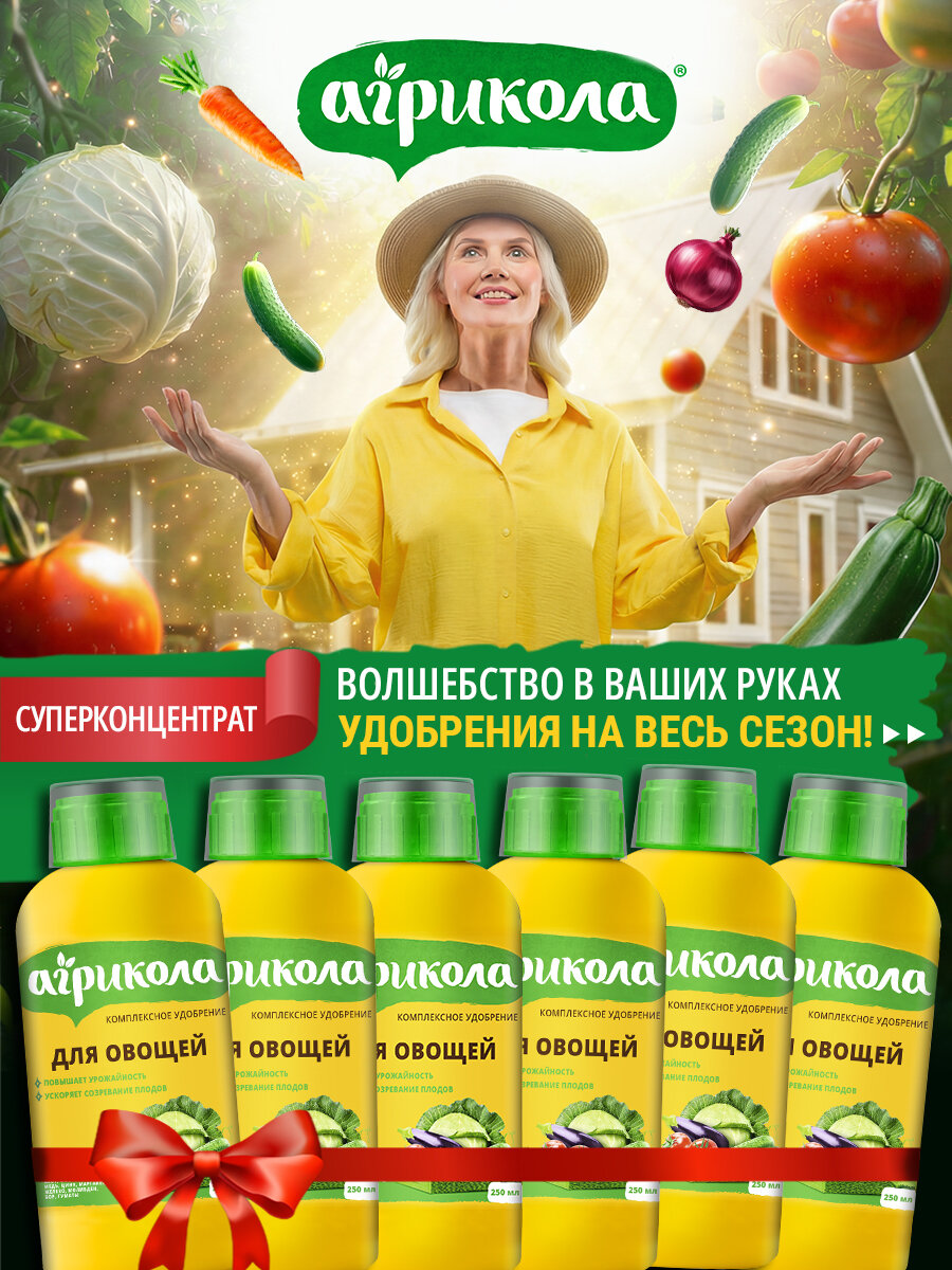 Универсальное жидкое удобрение для овощей Агрикола Аква, 6 шт по 250мл