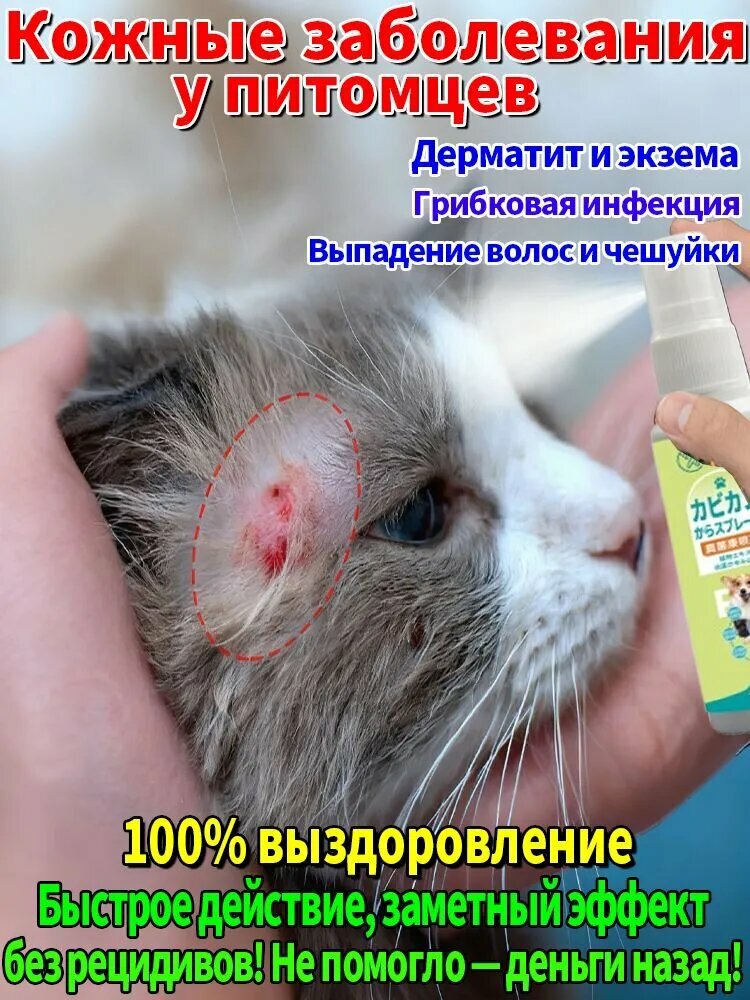 Спрей для лечения кожных заболеваний собак используется при зуде, выпадении волос и эрозии, 100 мл.