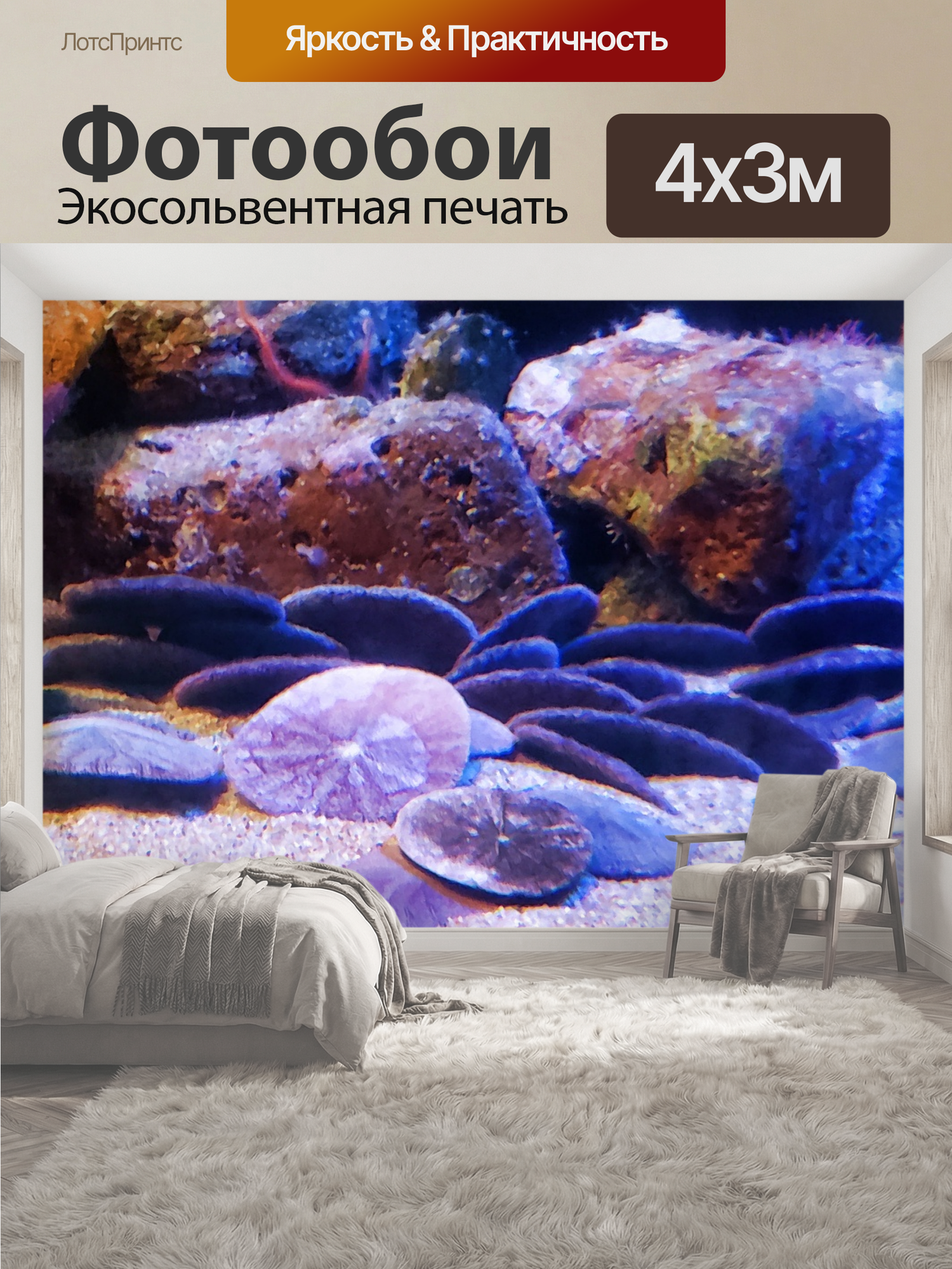 Фотообои "Сан-доллары баннер горизонтальное изображение песчаных долларов в аквариуме аквариум песочные доллары морская жизнь океан соленая вода." 400x300 см. экосольвентная печать