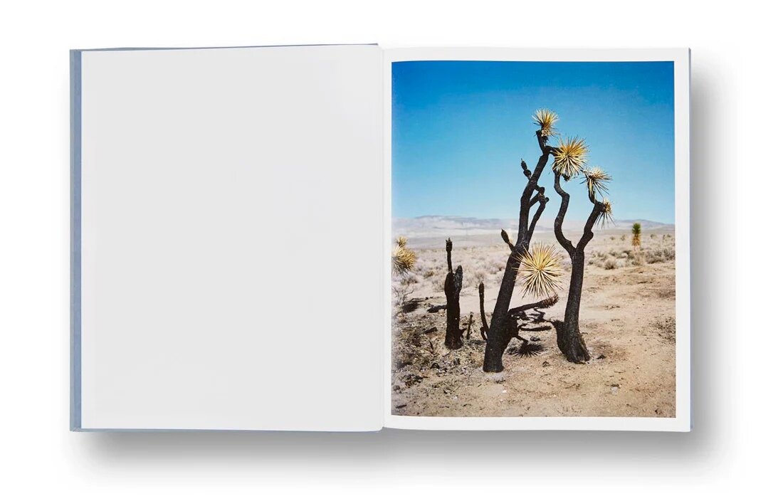 Gregory Halpern: ZZYZX — фото 1