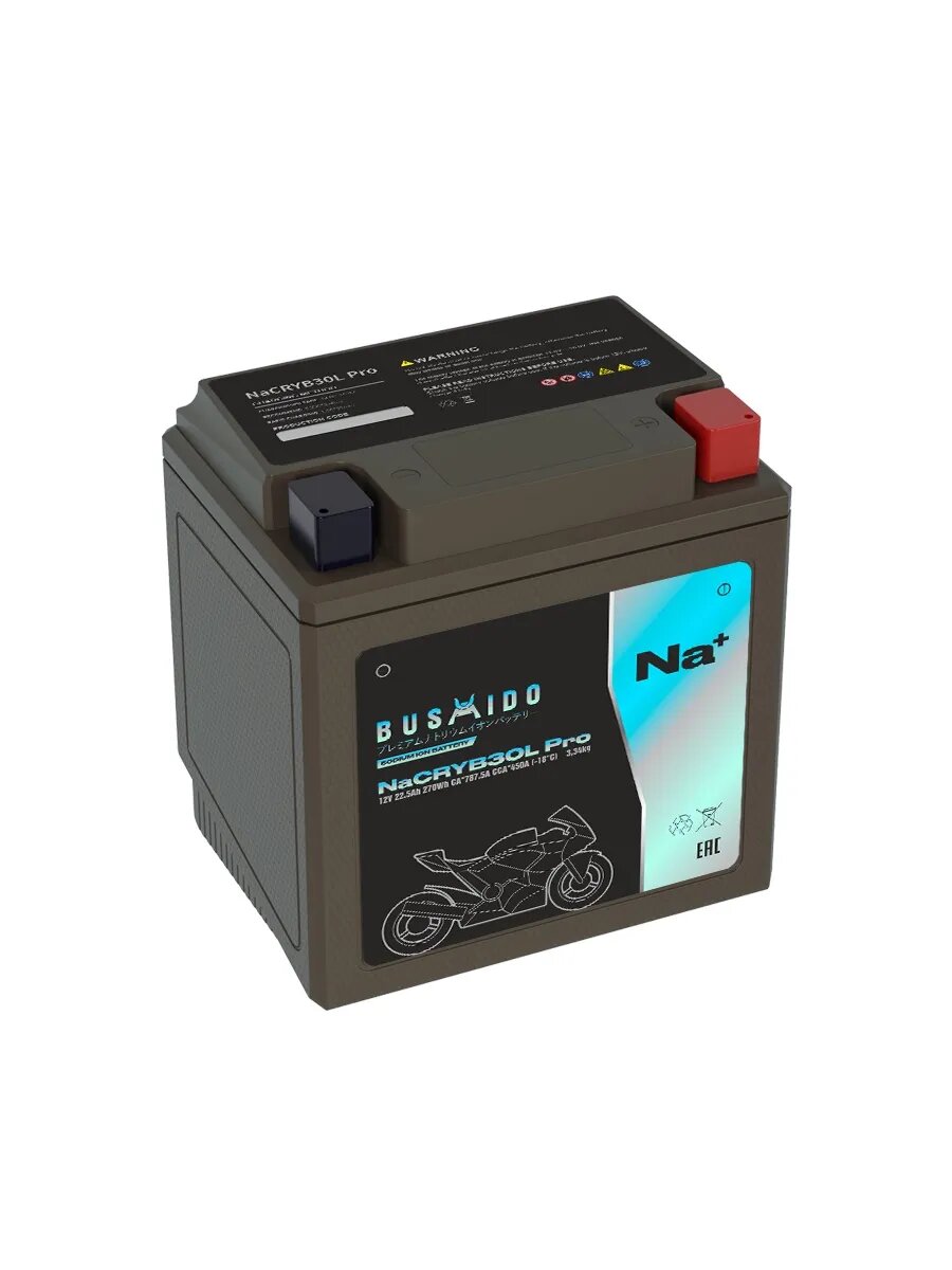 Аккумулятор BUSHIDO NaCRYB30L pro 12V 22.5Ач обр. пол.