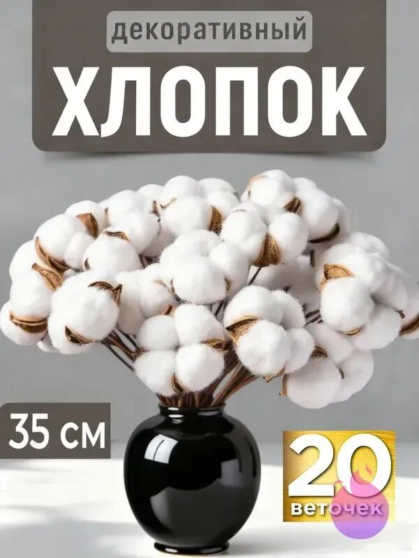 Сухоцветы Хлопок, 35 см, 20 шт
