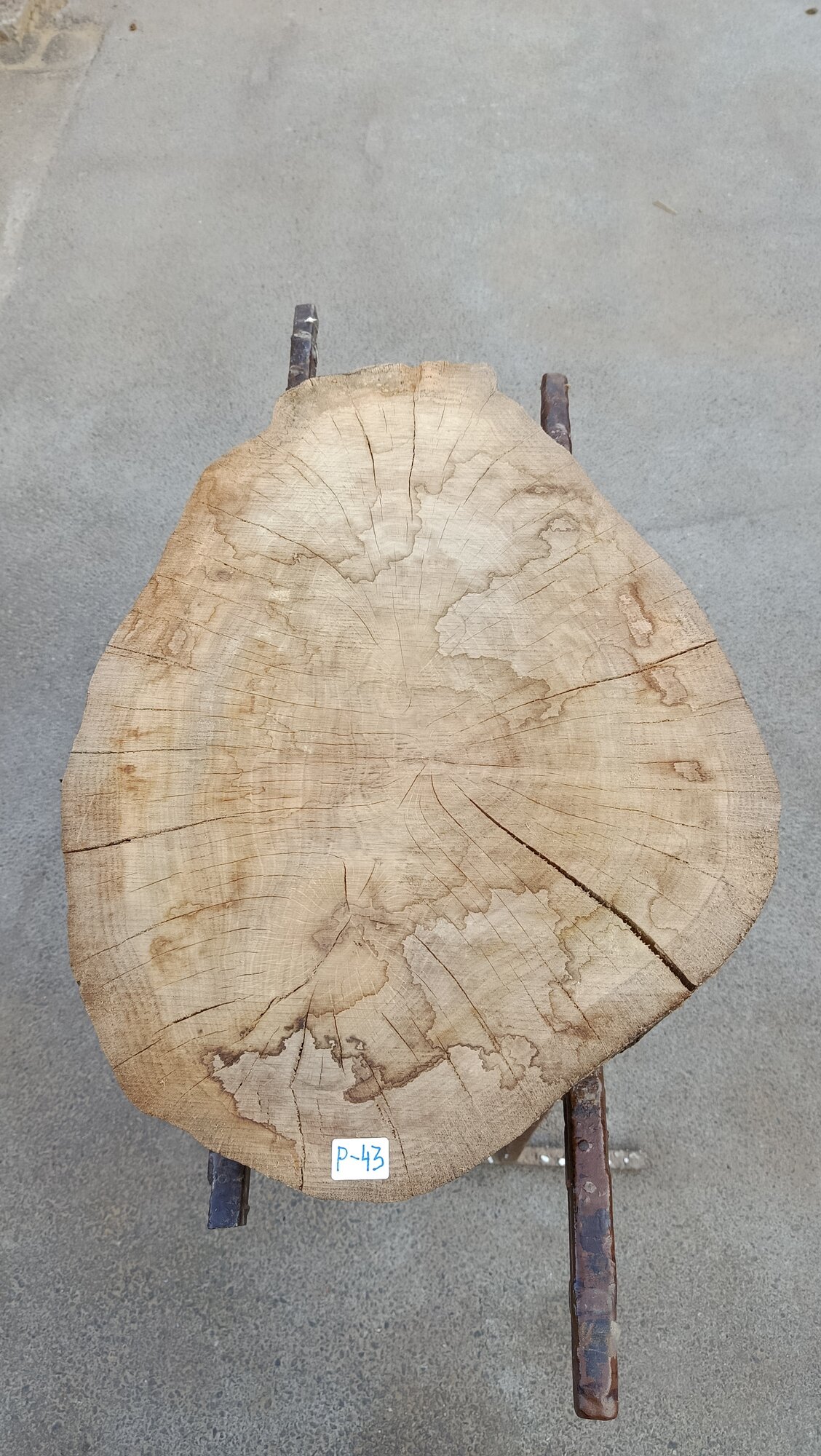 Спил из массива дуба 60х45х7,5см(Р43) высушенный и не фрезерованный, влажность 8-10%