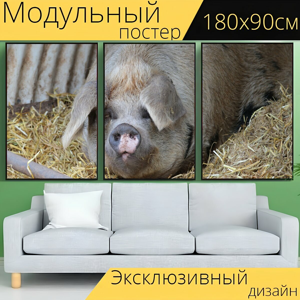 Модульный постер "Свинья, ферма, свинина" 180 x 90 см. для интерьера на стену в тубусе