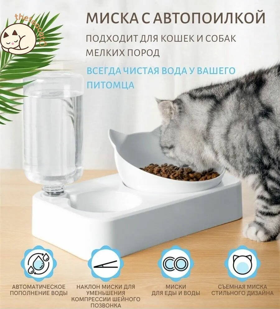 Автоматическая кормушка для домашних животных 2-в-1, поилка для воды, подходит для собак и корм для кошек сухой