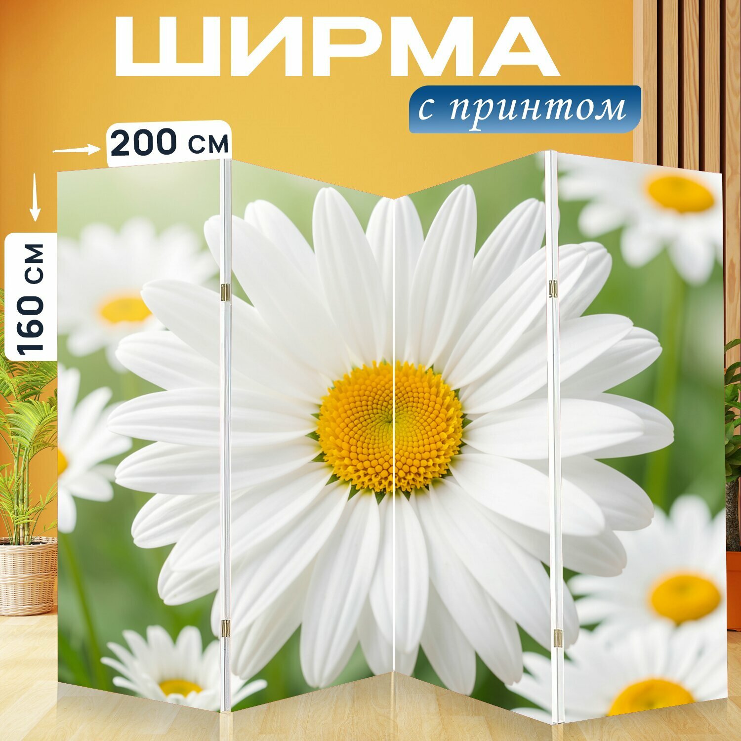 Ширма "Белые ромашки в зелёном поле. Крупный макрос цветущих полевых цветов с белоснежными лепестками и." перегородка для зонирования комнаты с принтом 200x160 см. на холсте