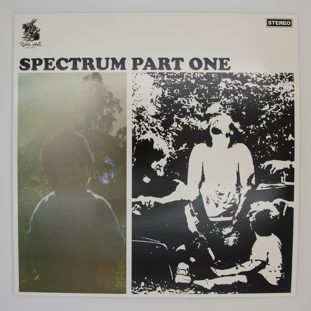 Виниловая пластинка Spectrum - Spectrum Part One, 1xLP, NM
