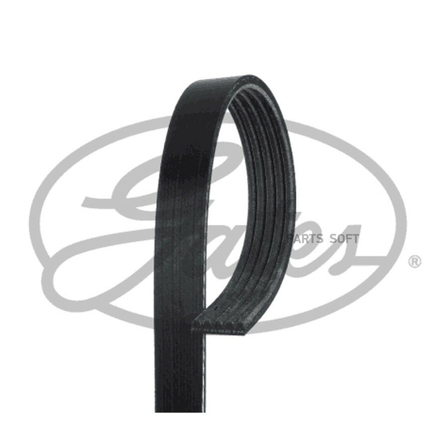 Ремень поликлиновой GATES 5PK1005 | цена за 1 шт