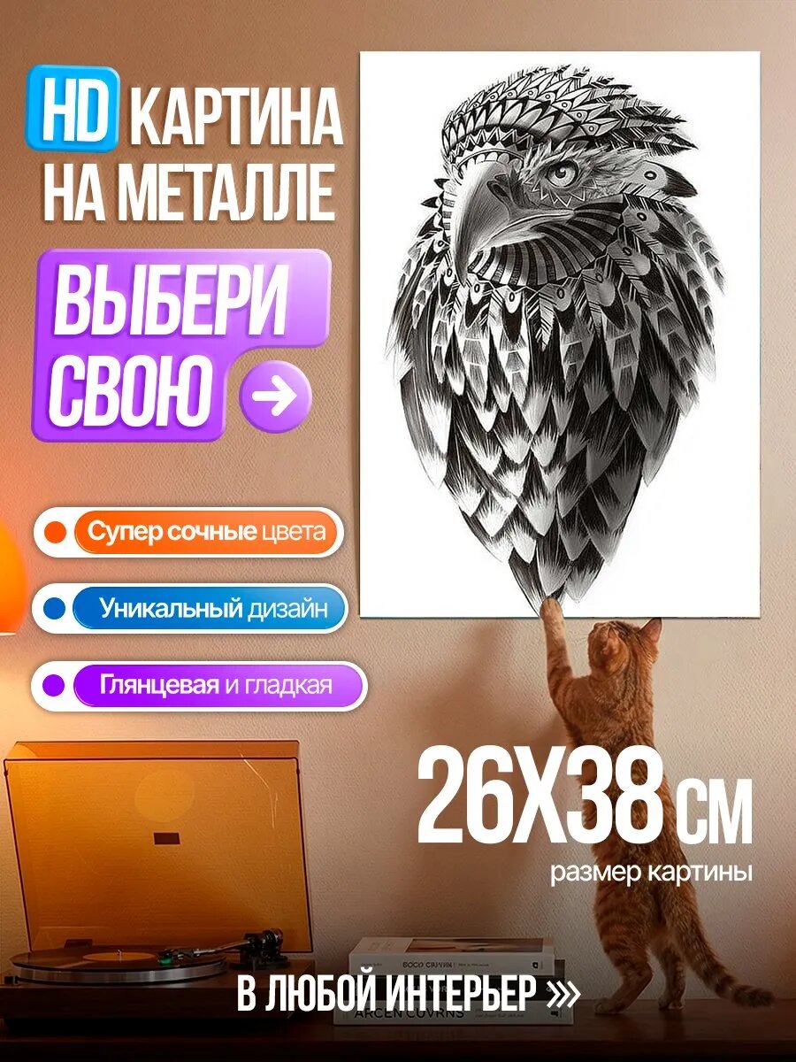 Картина на HD металле Орел в перьях