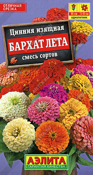 Цинния Бархат лета, смесь сортов