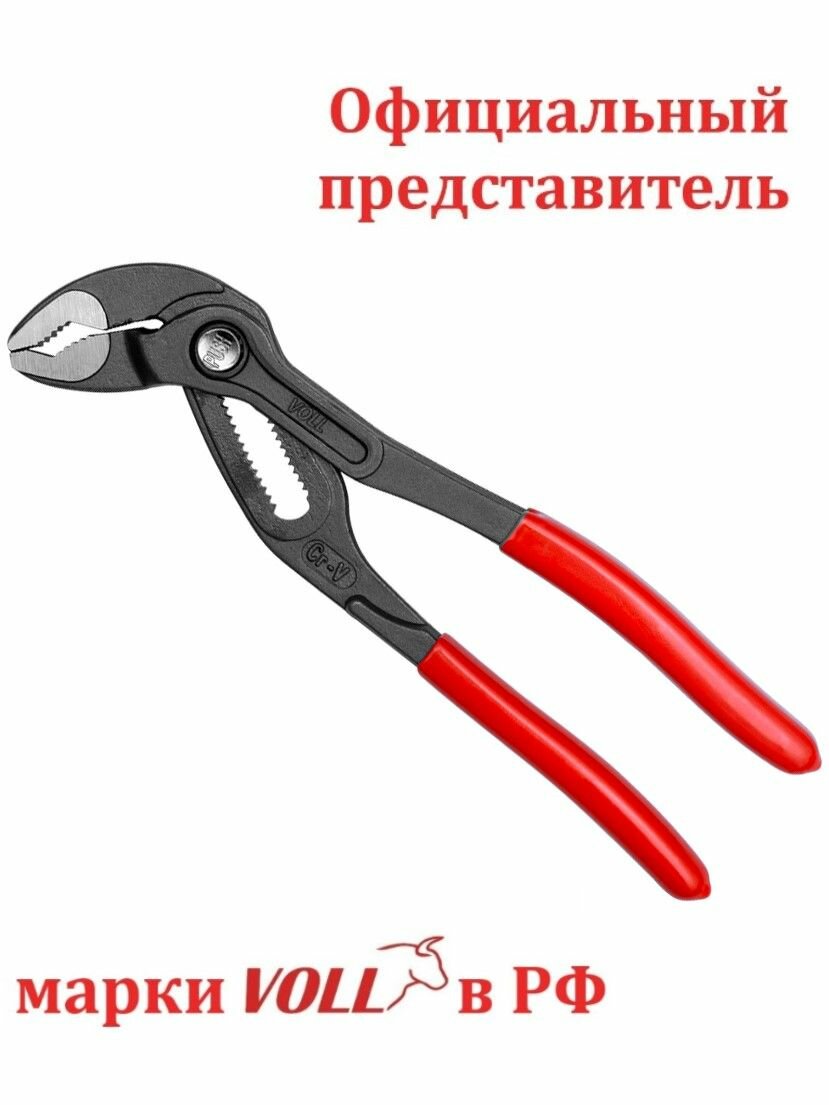 Переставные клещи VOLL Cobra с механизмом быстрой фиксации, L-7" (175 мм), CrV