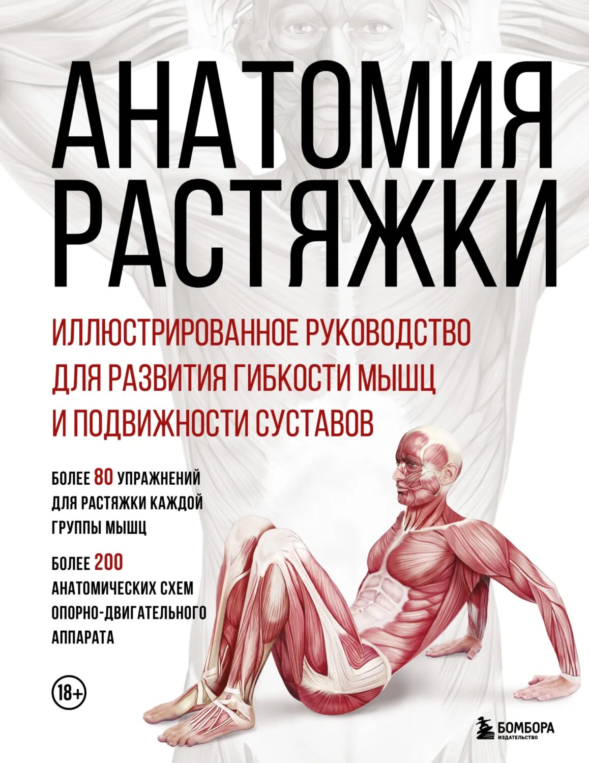 Анатомия растяжки. Иллюстрированное руководство для развития гибкости мышц и подвижности суставов [Цифровая книга]