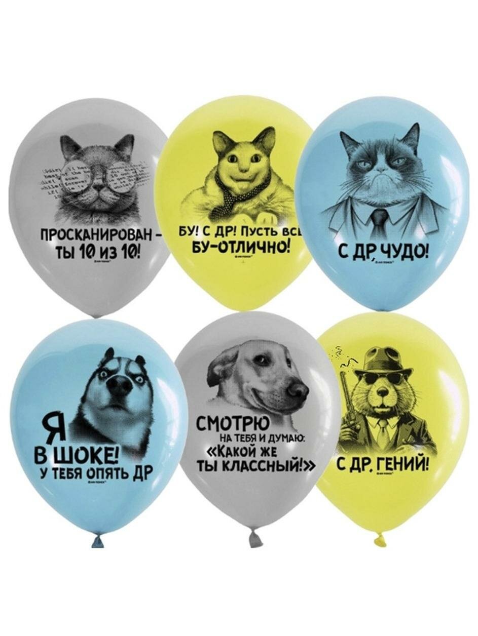 Воздушные шары латексные 12" «СДР, Мемы для пацанов» набор 15 шт.