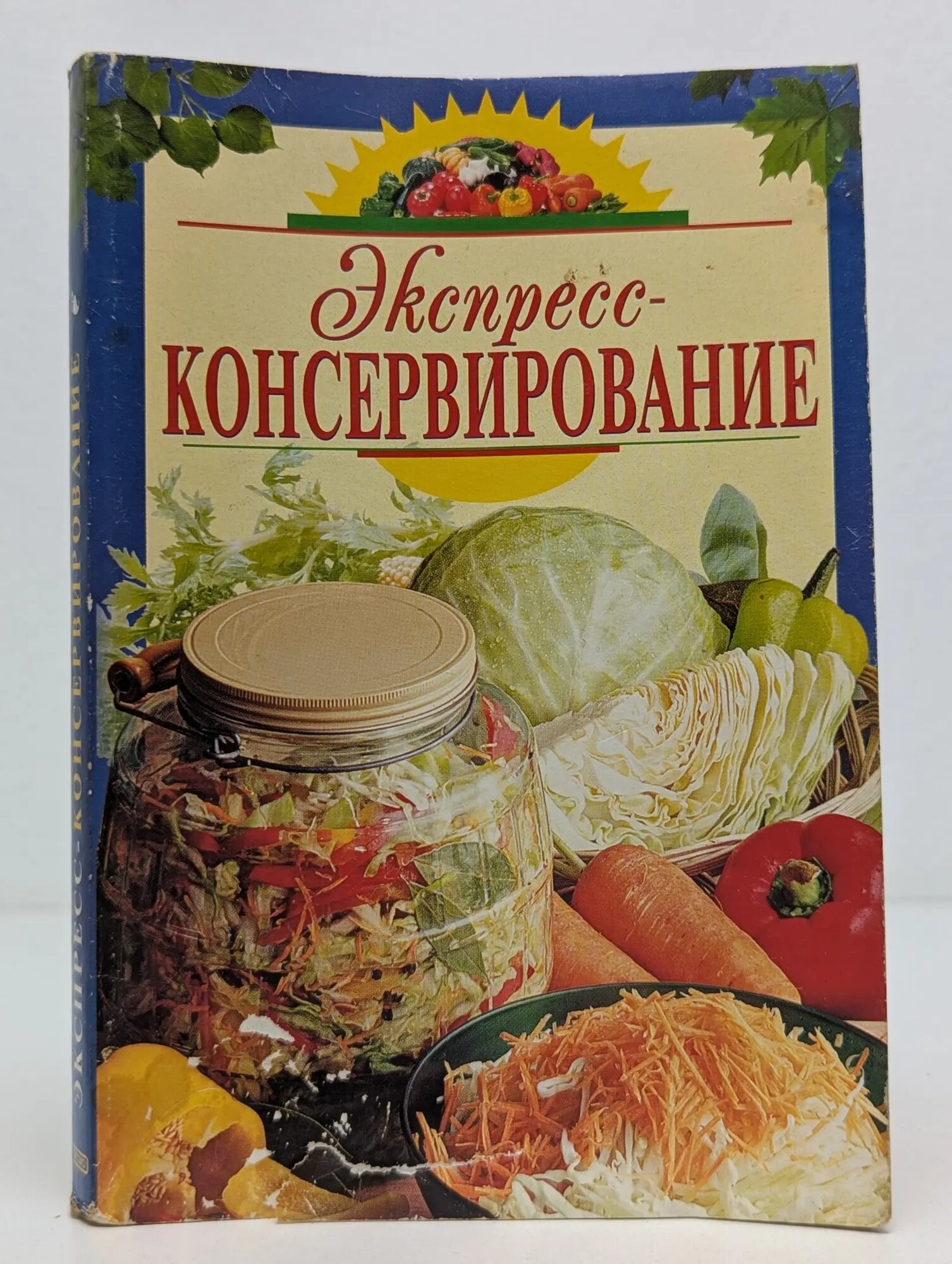 Экспресс-консервирование Огурцов И. М. 2004