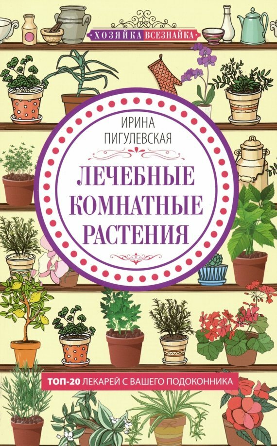 Лечебные комнатные растения. ТОП20 лекарей с вашего подоконника